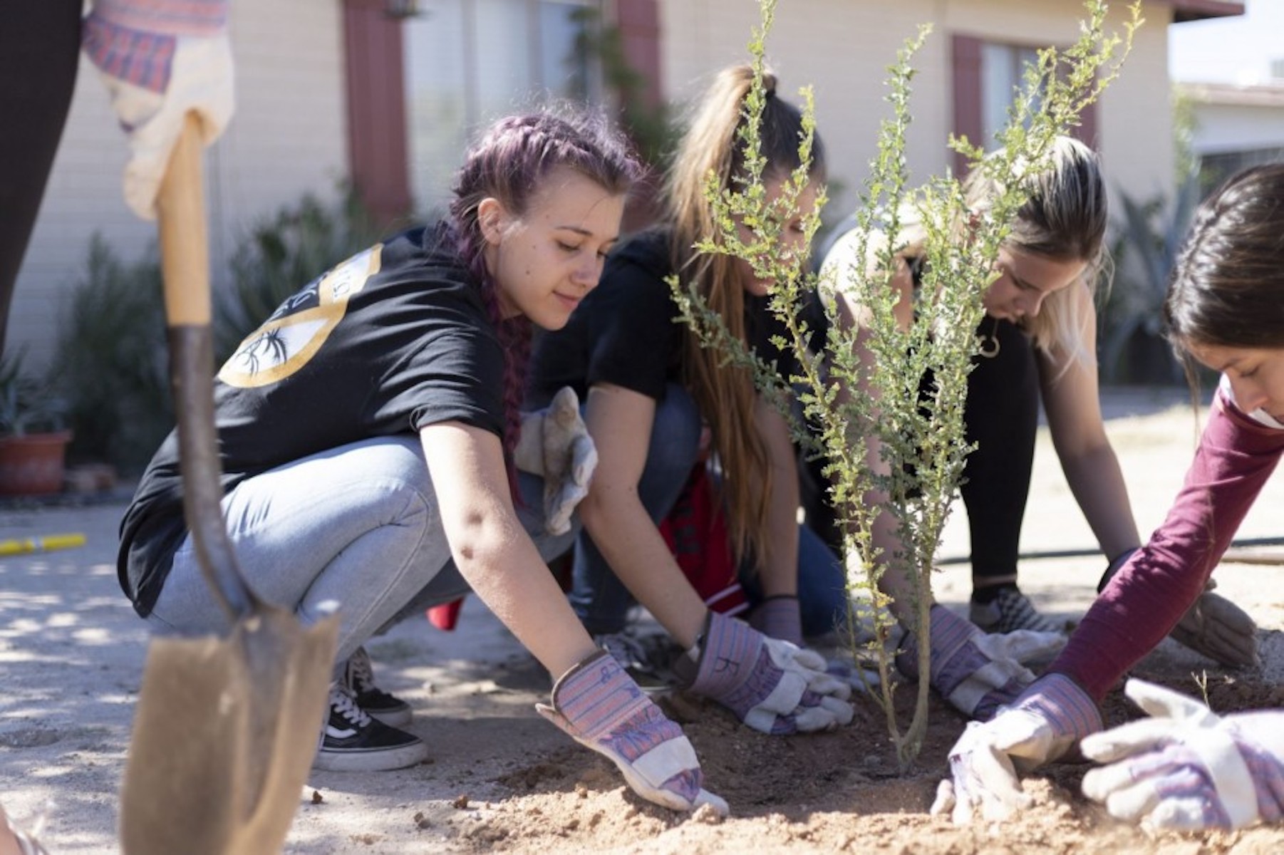 Celebrating Successes In Building Community Resilience – Sonora ...