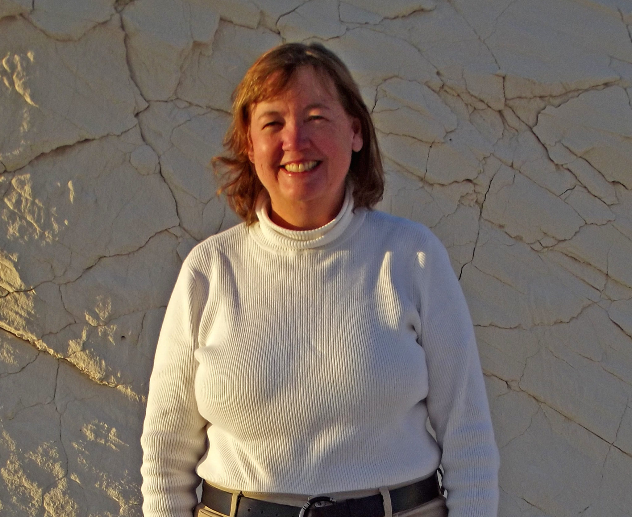 Theresa A.Foley’s article “Total gaseous mercury (TGM) concentration ...