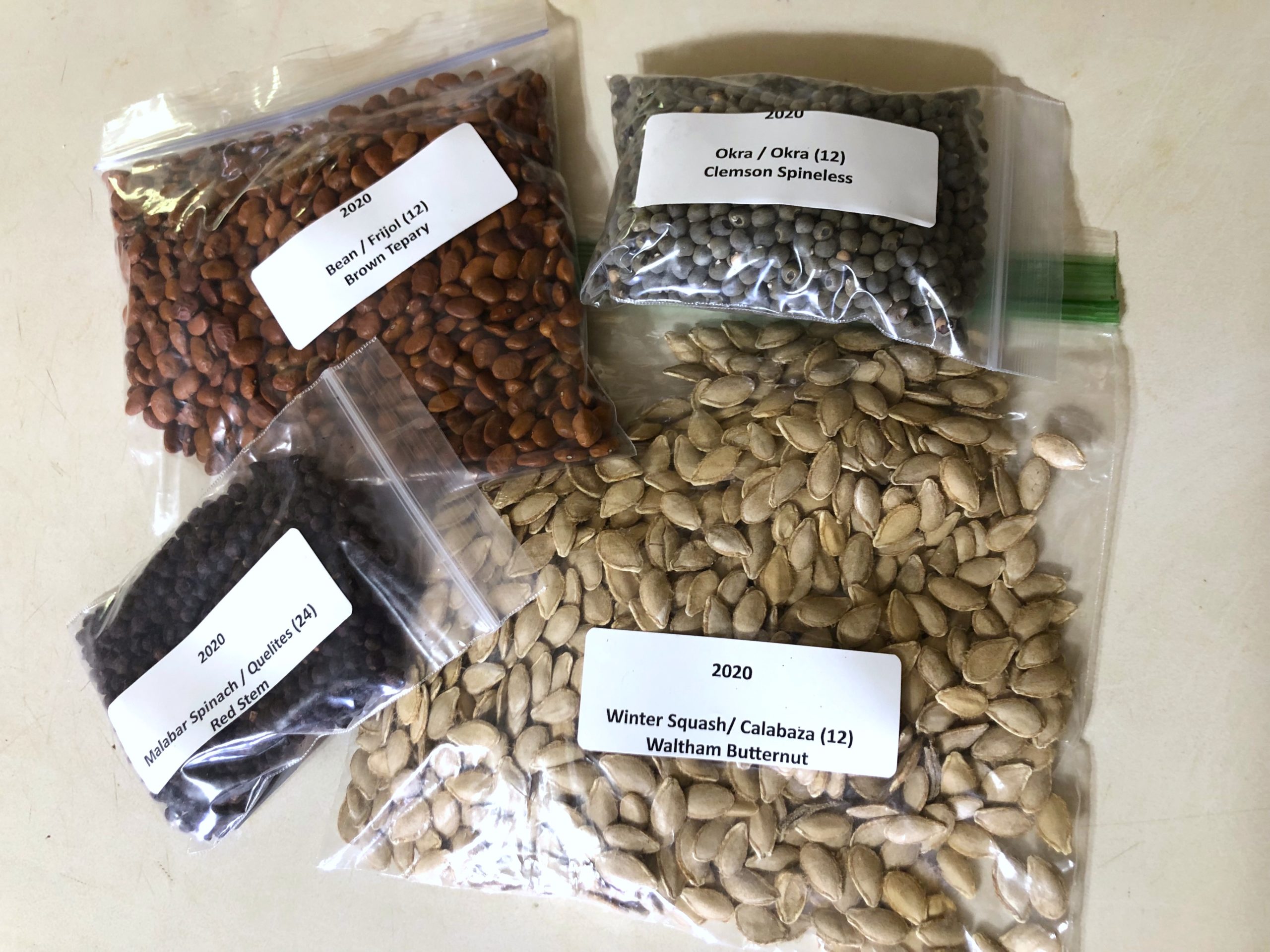 Interested in Having Your Own Garden and Need Seeds?