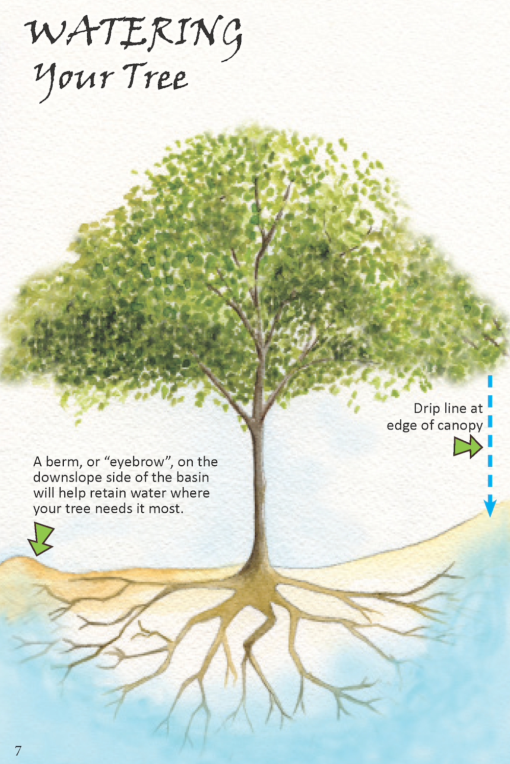 Education & Resources - Sonora Environmental Research Institute, Inc.
